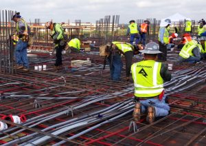 Alterman – Wired for Excellence